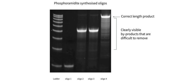 TdT DNA synthesis: Why are we TdT-free?