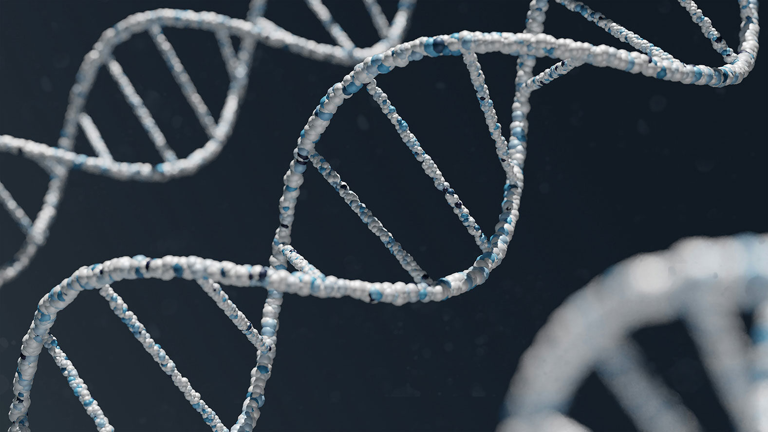 Rewriting DNA synthesis technology | Camena Bioscience
