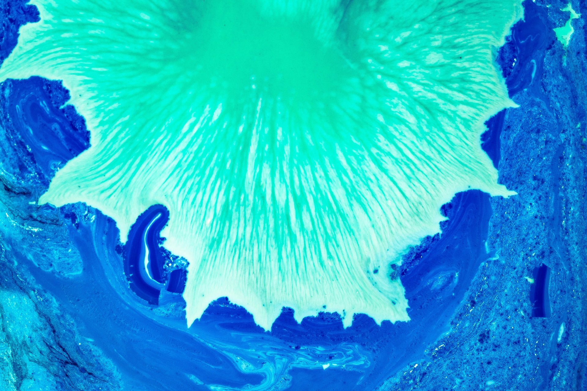 Resources | Camena Bioscience